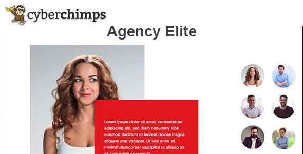 Agency Elite WordPress Theme by CyberChimps