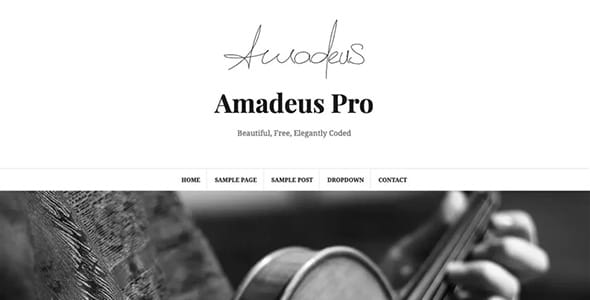 Amadeus Pro WordPress Theme by Themeisle