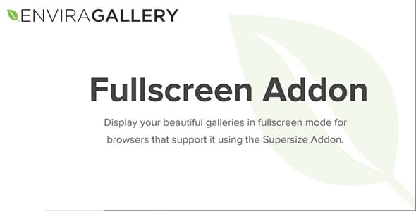 Envira Gallery Fullscreen Addon for WordPress