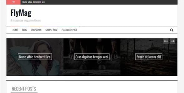 FlyMag Pro WordPress Theme by Themeisle