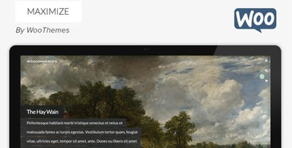 Maximize WordPress Theme by WooThemes