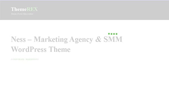 Ness Marketing Agency and SMM WordPress Theme