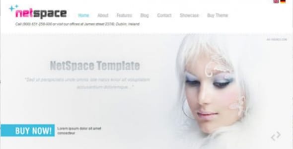Netspace WordPress Theme by AitThemes