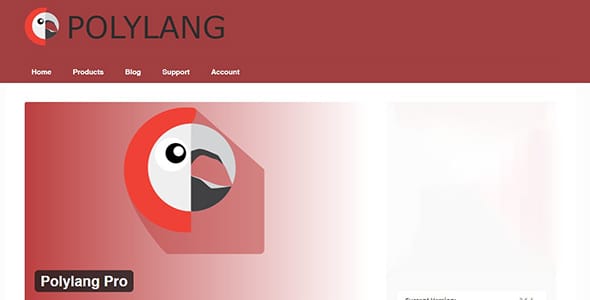 Polylang Pro for WordPress