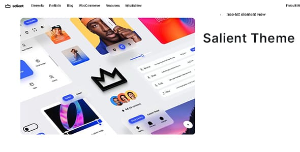 Salient Creative Multipurpose and WooCommerce Theme