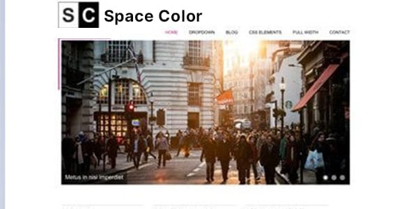 Space Color WordPress Theme by Viva Themes