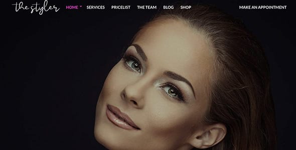 The Styler WordPress Theme by CSSIgniter